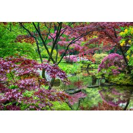 Fototapete papermoon "GARTEN-BLUMEN B&Auml;UME PFLANZEN PARK STEINE BL&Uuml;TEN WALD", bunt, B:2m L:1,49m, Vlies, Tapeten, Fototapete
