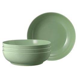 Schale Seltmann Weiden "Foodbowls Beat Color Glaze &oslash; 25,5 cm 4er Set", gr&uuml;n (salbeigr&uuml;n), L:25,5cm, Sch&uuml;sseln, Schale