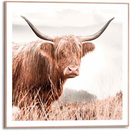 Poster Reinders "Highlander", braun (farbe bild(er): braun), B:50cm H:50cm T:1,6cm, MDF, Bilder, Poster