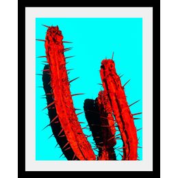 Bild queence "Kaktus", bunt (farbe rahmen: schwarz, farbe bild(er): bunt), B:30cm H:40cm T:3cm, Acrylglas, Holz, Papier, Bilder, Bild, HD Premium Poster-Druck inkl. Holzrahmen