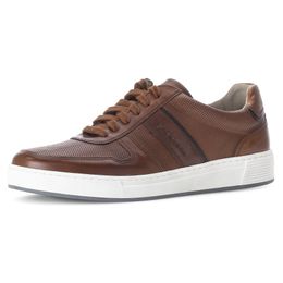 Sneaker Pius Gabor, Herren, Gr. 10,5 (45), braun (cognac), Glattleder, Schuhe Sneaker, Freizeitschuh, Halbschuh, Schn&uuml;rer mit Kontrastbes&auml;tze, Weite G