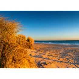 Fototapete papermoon "Dunes Chelsea Beach Australia", bunt, B:3,5m L:2,6m, Vlies, Tapeten, Fototapete