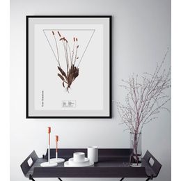 Bild queence "Plantaginaceae", braun (farbe rahmen: schwarz, farbe bild(er): braun), B:30cm H:40cm, Acrylglas, Holz, Papier, Bilder, Bild, HD Premium Poster-Druck inkl. Holzrahmen
