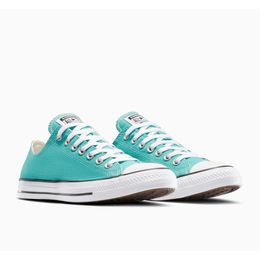 Sneaker Converse "CHUCK TAYLOR ALL STAR", Herren, Gr. 37, gr&uuml;n (archive sea gr&uuml;n), Textil, Schuhe Sneaker