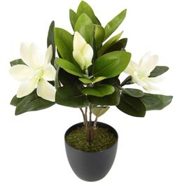 Kunstblume I.GE.A. "Magnolie", wei&szlig;, B:26cm H:45cm L:20cm, Obermaterial: 80% Polyester, 20% Kunststoff, Kunstpflanzen, Kunstblume, Im Topf Magnolienbusch k&uuml;nstlich Fr&uuml;hling Seidenblumen Raumdeko