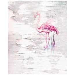 Vliestapete Komar "Digitaldruck Vlies - Pink Flamingo - Gr&ouml;&szlig;e 200 x 250 cm", wei&szlig;, B:200m L:250m, Vlies, Tapeten, Vliestapete, Wohnzimmer, Schlafzimmer