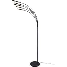 REALITY LEUCHTEN LED Stehlampe "Reed", schwarz, 5, H: 196cm, Leuchten, Sensordimmer, Memory Funktion, LED Stehlampe