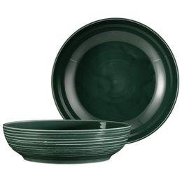 Schale Seltmann Weiden "Foodbowl Terra &oslash; 25,5 cm 2er Set", gr&uuml;n (moosgr&uuml;n), L:25,5cm, Sch&uuml;sseln, Schale