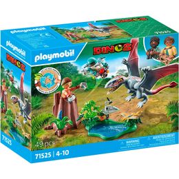 Konstruktions-Spielset Playmobil "Beobachtungsstation f&uuml;r Dimorphodon (71525), Dinos", bunt, Spielbausteine, Kinder, Kunststoff, Konstruktions-Spielset, Made in Europe