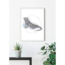 Bild Komar "Iguana Watercolor", bunt (farbe bild(er): bunt), B:50cm H:70cm, Holz, Papier, Bilder, Bild, Wandbild zur Dekoration - ohne Rahmen