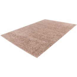 Hochflor-Teppich Obsession "My Emilia 250", grau (taupe), B:60cm H:26mm L:110cm, Polyester, Teppiche, Hochflor-Teppich, sehr weicher Flor, ideal im Wohnzimmer & Schlafzimmer