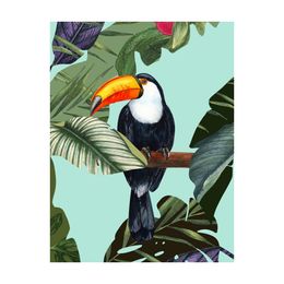 Bild Komar "Toco Toucan", bunt (farbe bild(er): bunt), B:40cm H:50cm, Holz, Papier, Bilder, Bild, Wandbild zur Dekoration - ohne Rahmen