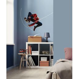 Wandtattoo Komar "Marvel Spider-Man Night", blau (blau,rot), Disney, Folie, Wandtattoos, Wandtattoo, 50 x 70 cm (Breite x H&ouml;he) - Kinderzimmer, Wandsticker