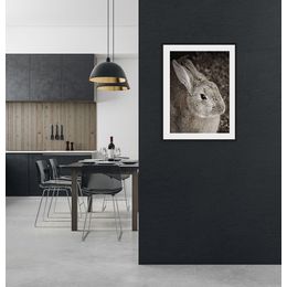 Bild queence "Tilde", braun (farbe rahmen: schwarz, farbe bild(er): braun), B:40cm H:50cm, Acrylglas, Holz, Papier, Bilder, Bild, HD Premium Poster-Druck inkl. Holzrahmen