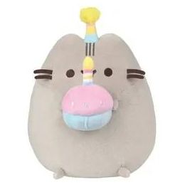 AURORA Birthday Party Pusheen Plush Toy