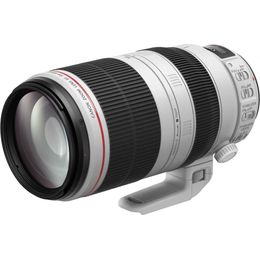 Canon EF 100-400mm 1:4,5-5,6 L IS II USM