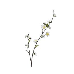 SONSTIGE Kunstblume KIRSCHBL&Uuml;TE
