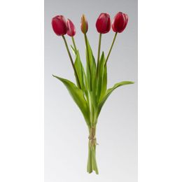 Casa Nova Kunstblume TULPENBUND