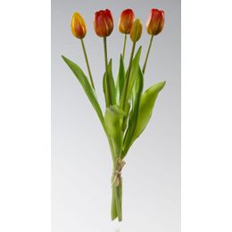 Casa Nova Kunstblume TULPENBUND