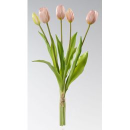 Casa Nova Kunstblume TULPENBUND