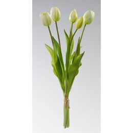 Casa Nova Kunstblume TULPENBUND