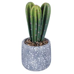 Villa d ́Este Kunstpflanze "Cactus" in Gr&uuml;n/ Grau - (H)29,5 cm - 44% | Kerzen-vasen