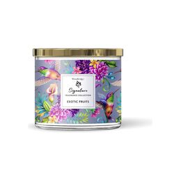 CANDLE-LITE Duftkerze "Exotic Fruits" in Bunt - 410 g - 53% | Kerzen-vasen