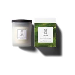 Sentier Duftkerze "Botanical Sanctuary", 150 g - 60% | Kerzen-vasen
