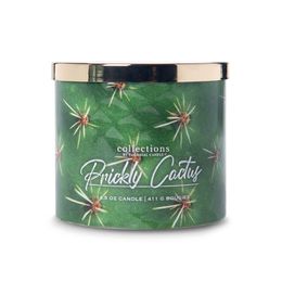 Colonial Candle Duftkerze "Desert Prickly Cactus" in Gr&uuml;n - 411 g - 43% | Kerzen-vasen