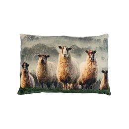 MARS & MORE Mars & More Kissen "Sheep in grass" in Beige - (L)40 x (B)60 cm - 23% | Dekokissen