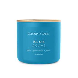 Colonial Candle Duftkerze "Blue Agave" in Blau - 411 g - 51% | Kerzen-vasen