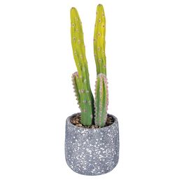 Villa d ́Este Kunstpflanze "Cactus" in Gr&uuml;n/ Grau - (H)40,5 cm - 44% | Kerzen-vasen