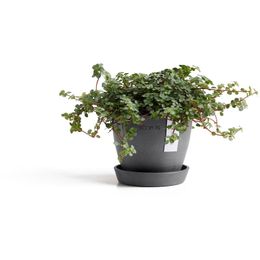 Ecopots Blumentopf &raquo;Antwerp Mini 11 Grau&laquo; f&uuml;r den Innenbereich grau Kunststoff