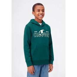Champion Jungen Kapuzensweatshirt &raquo;Graphic Terry Hoodie&laquo;, 1 tlg. f&uuml;r Kinder, sportlicher Stil, mit Kapuze, bequemer Schnitt S (128/134)