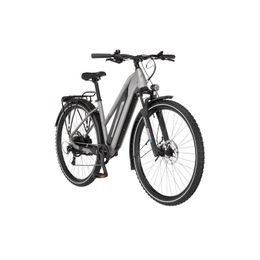 FISCHER BIKE Fischer Fahrrad Damen FISCHER Fahrrad &raquo;TERRA 2.2 459&laquo; 8 Gang Shimano ACERA Schaltwerk Heckmotor mit Akku-Ladeger&auml;t;mit Werkzeug, Pedelec, 