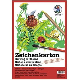 Buntpapierfabrik Ludwig B&auml;hr Zeichenkarton 200g/qm A3 Packung mit 250 Bogen | Gr.: onesize