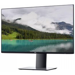 Bildschirm 24" LED Dell U2421HE