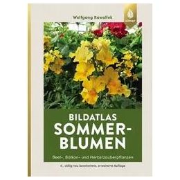 Bildatlas Sommerblumen