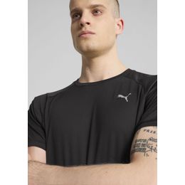 Laufshirt Puma "M RUN VELOCITY TEE (POLY)", Herren, Gr. L, schwarz (Puma schwarz), Web, Obermaterial: 100% Polyester, regular fit normal, Rundhals, Shirts Laufshirt, ergonomische Schnittf&uuml;hrung, DryCELL Technologie, Flatlock-N&auml;hte