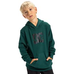 Hoodie DC Shoes "DC Star", Jungen, Gr. 10(140-148cm), rosa (ponderosa pine), Obermaterial: 55% Baumwolle, 25% Baumwolle, 20% Polyester;, Sweatshirts Hoodie