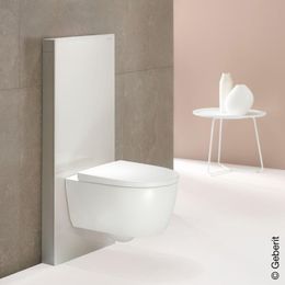 Geberit Monolith Plus Sanit&auml;rmodul H: 114,5 cm, f&uuml;r Wand-WC, 131231JL7,