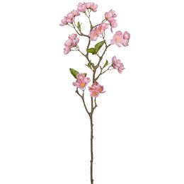 Gasper Apfelbl&uuml;tenzweig APFELBL&Uuml;TE