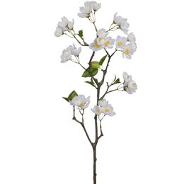 Gasper Apfelbl&uuml;tenzweig APFELBL&Uuml;TE