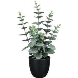 Gasper Kunstpflanze im Topf EUKALYPTUS