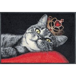 Fu&szlig;matte, B:50cm H:7mm L:75cm, schwarz, wash+dry by Kleen-Tex, Kunstfaser, Au&szlig;enbereich, Teppiche, "Royal Cat", Schmutzfangmatte, Motiv Katze,