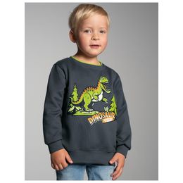 TRIGEMA Jungen Sweatshirt "TRIGEMA Sweatshirt mit gro&szlig;em Dino-Printmotiv"anthrazit, Basic, Gr. 104, 70% Baumwolle, 30% Polyester, Sweatshirts