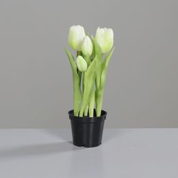 DPI Kunstblume Tulpe