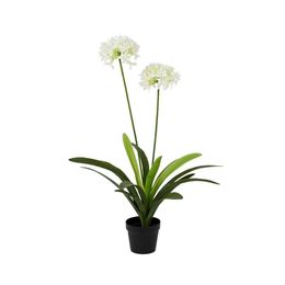 SONSTIGE Kunstpflanze ALLIUM