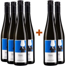 Weingut Pesau 4+2 Paket Kalkschnitt Gr&uuml;ner Veltliner 2024 Trocken - &ndash; Probierpaket Qualit&auml;tswein