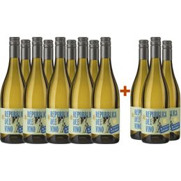Cantina Villa Pigna 9+3 Paket Repubblica del Vino Falerio Pecorino 2024 Trocken - Marken &ndash; Probierpaket DOC